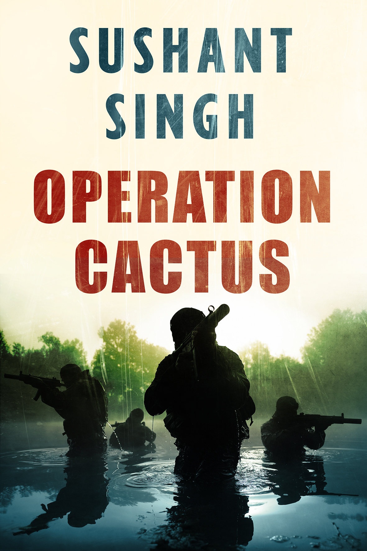 Operation Cactus: India's Mission Impossible in the Maldives - The Wire