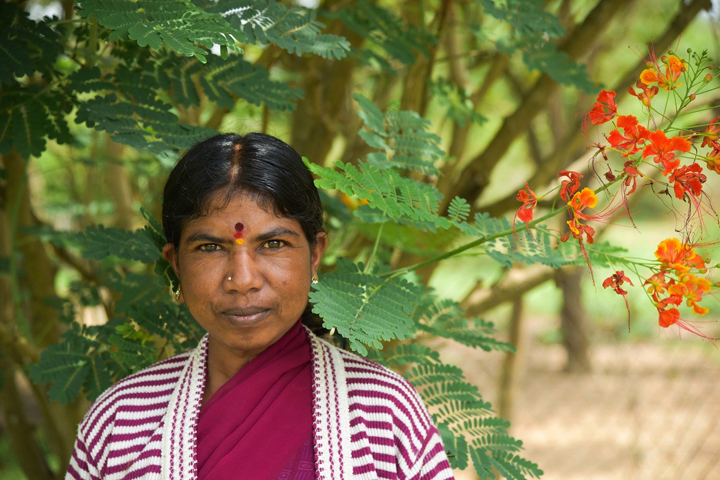 Photo Essay: When Jayamma Picked Up a Camera - The Wire