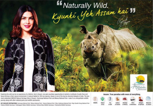 'Ugly and Full of Technical Faults,' Says Original Assam Tourism Logo ...
