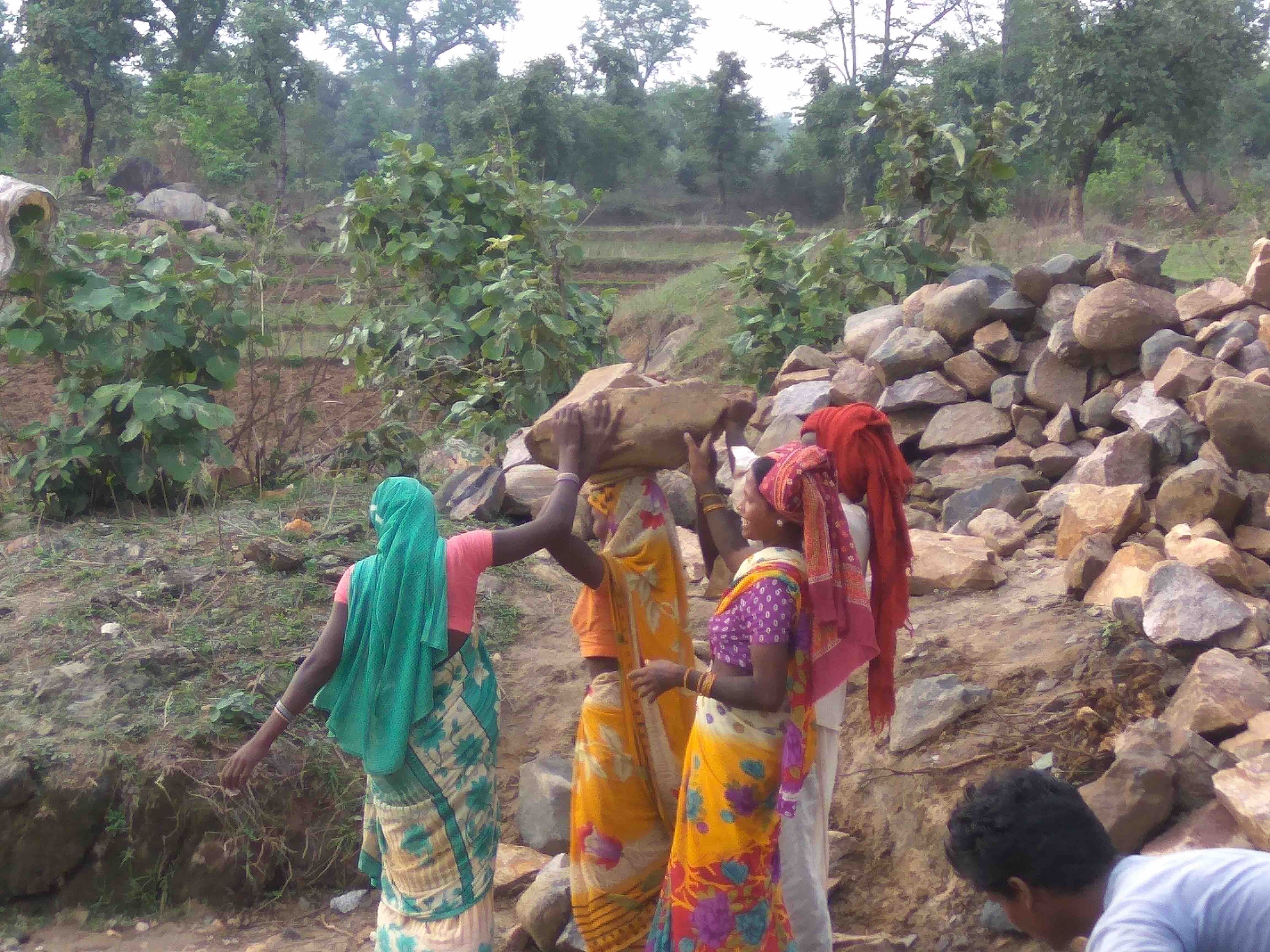 The Wire: The Wire News India, Latest News,News from India, Politics ...