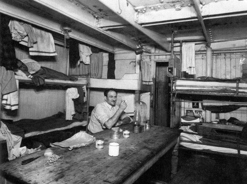 The Stowaway's Story Chimes With the Explorer in Us All - The Wire