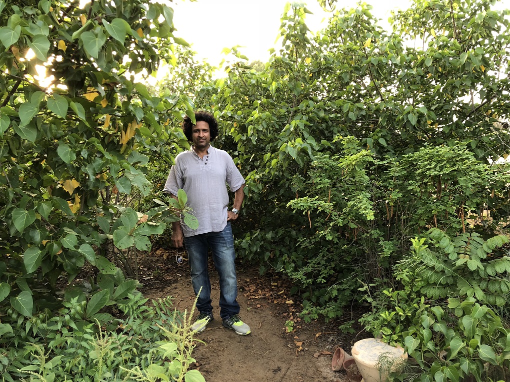 Meet the Man Who Grew a (Small) Forest in the Heart of Karachi - The Wire