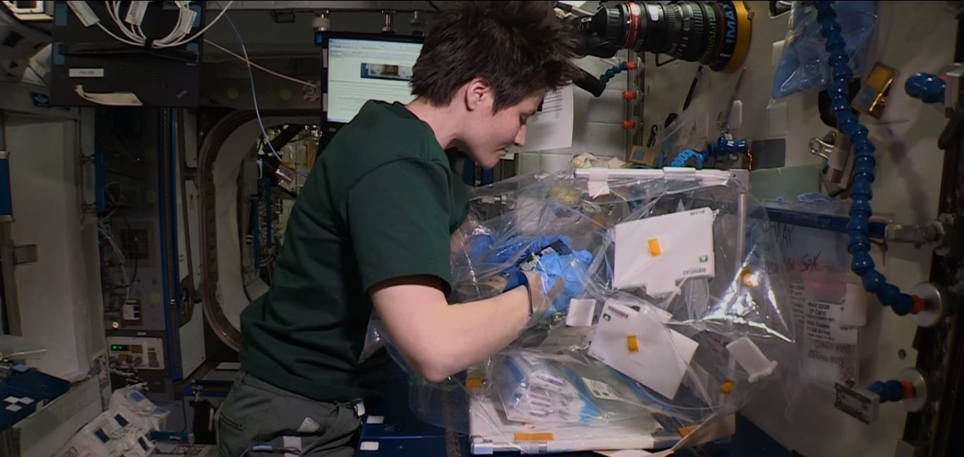 What are Fruit Flies and Human Cells Doing in a Rotating Laboratory in ...