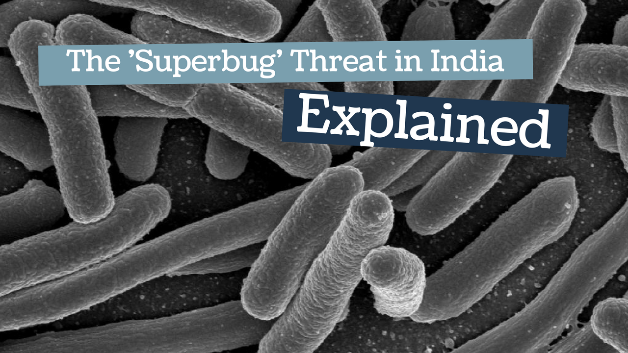 Watch: 'Indian Hospitals Are Full of Superbugs. They're Lying If They ...