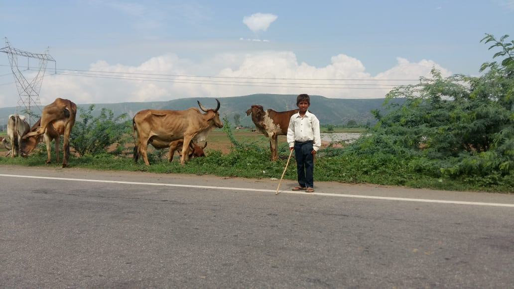 After Alwar Lynching, Meo Muslims Forced to Deal With Institutions That ...
