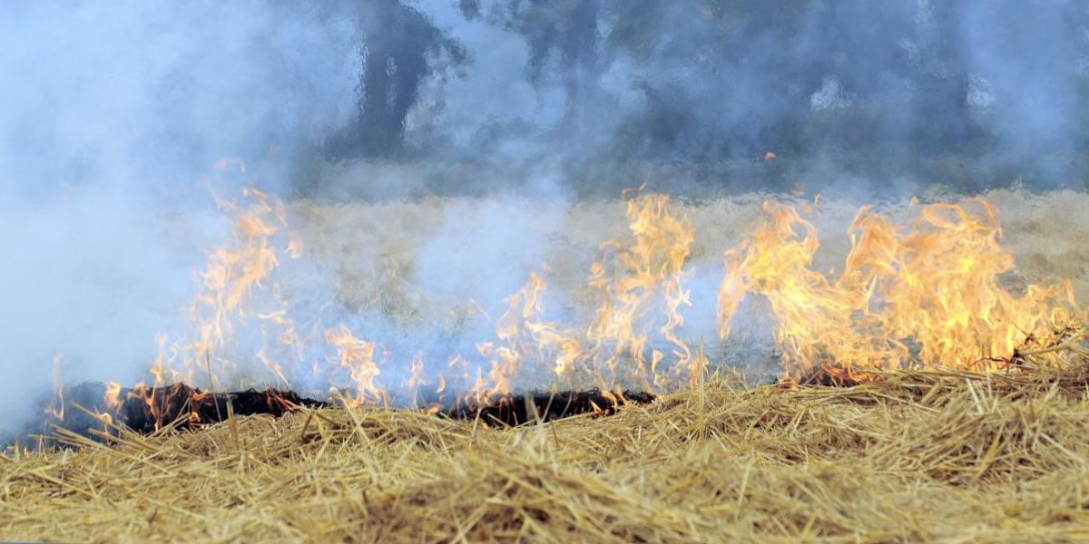 The Smog That Hides a Bonanza - The Wire