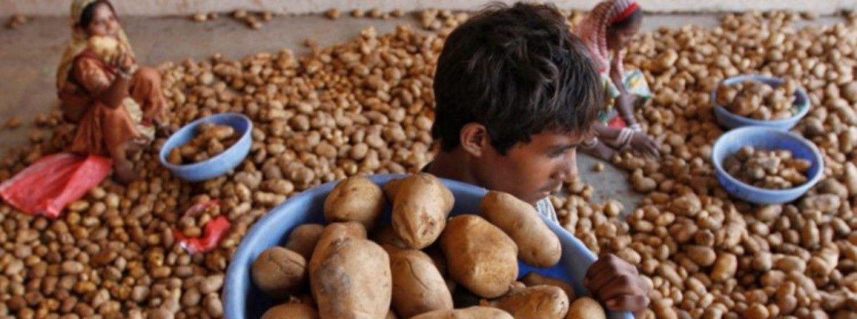 PepsiCo Controversy: Globally, India Has Always Refused to Give in on ...