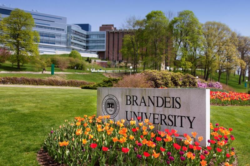 In a First, US's Brandeis University Prohibits Caste Discrimination on ...