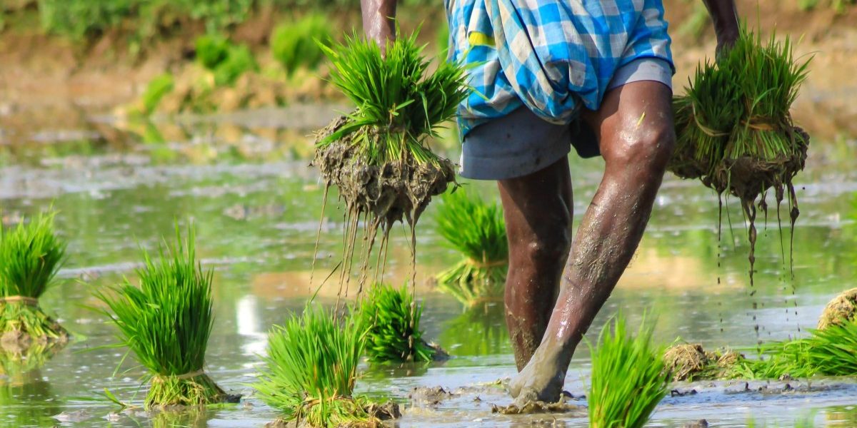 With New Layers, the PM Kisan Project Could Be Used to Help Solve ...