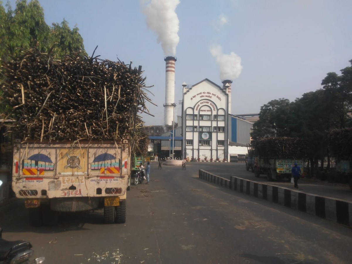 Gujarat: Migrant Sugarcane Harvesters Are Forced to Work Through the ...