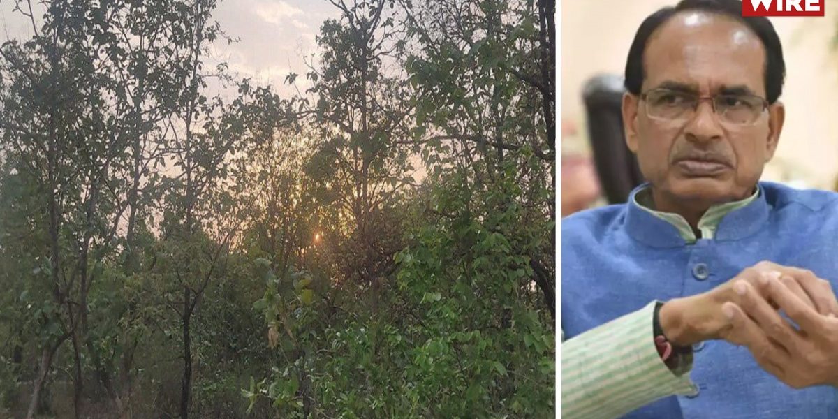 Watch | In Search of Diamonds: MP Govt Remains Silent on Buxwaha Forest ...