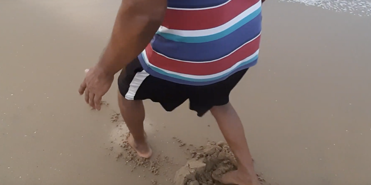 The Rich Mud Banks of Chennai’s Coast - The Wire