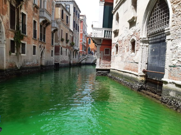 Water in Venice's Grand Canal Turns Green, Probe Ordered - The Wire