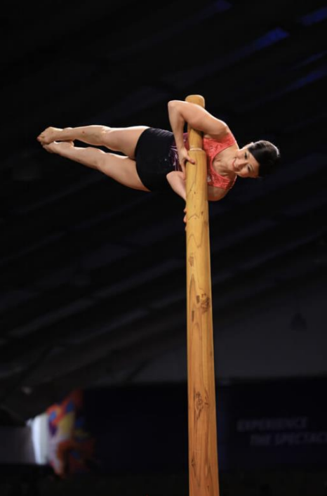 Rockstars of the Ancient World, Mallakhamb Practitioners Have Been ...