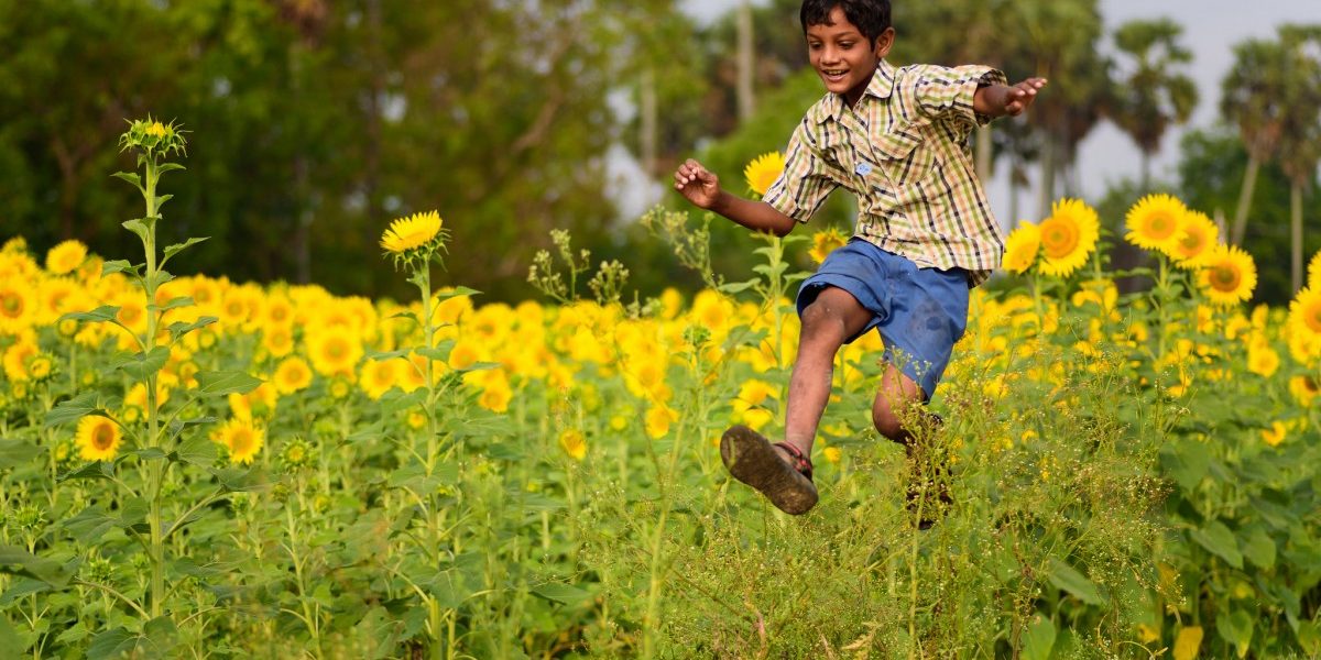 How the Dravidian Model of Development Succeeded in Tamil Nadu - The Wire