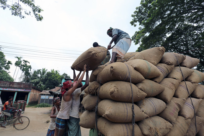 Risk of 'Social Unrest' in Asia, Africa Due to India's Rice Export Ban ...