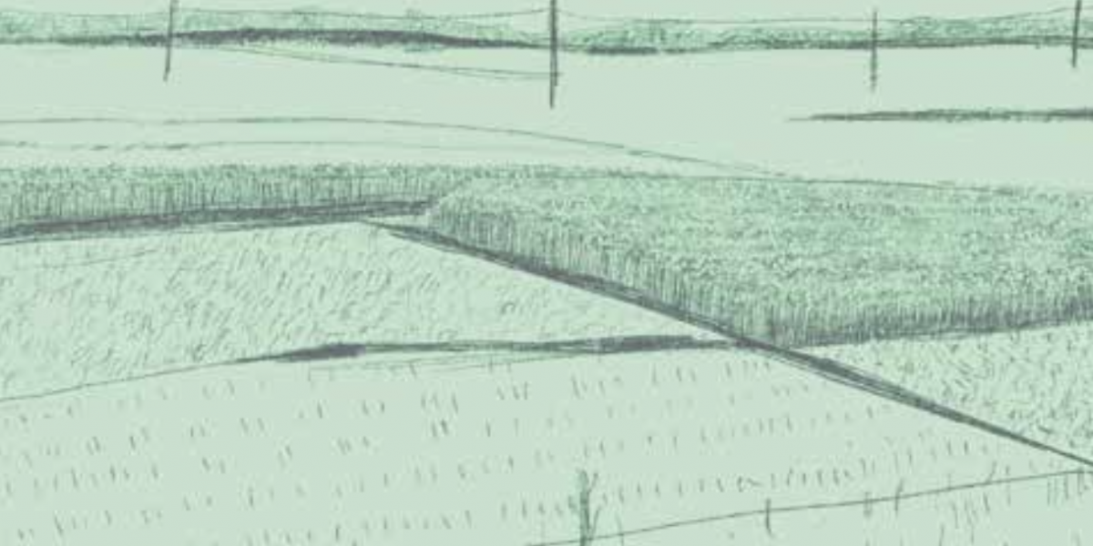 The Comforts and Discomforts of Watching Time Pass Us By - The Wire