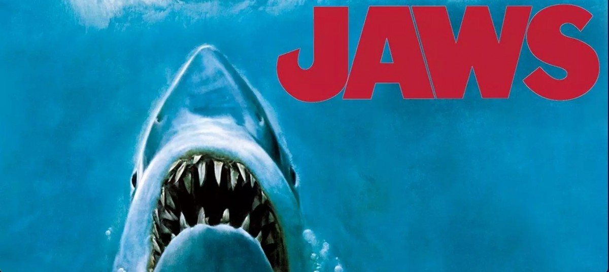 Jaws Turns 50: Here’s How the Novel Differed From Its Film Adaptation ...