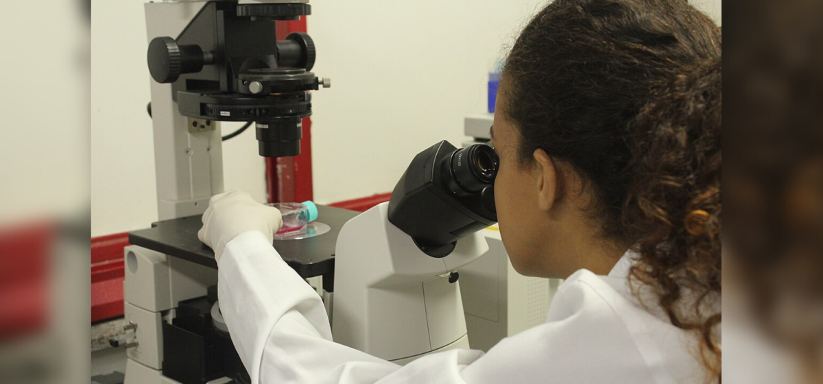 Keeping the Global Struggle Alive for Freeing Up the Commons - The Wire