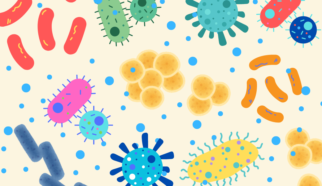 India Has a Superbug Problem - The Wire