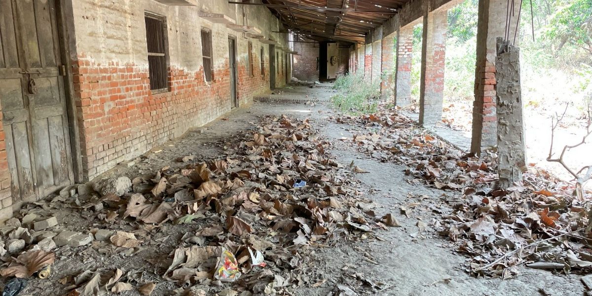 The Silent Cries of Broken Dreams Ring Loud in UP's Maghar - The Wire