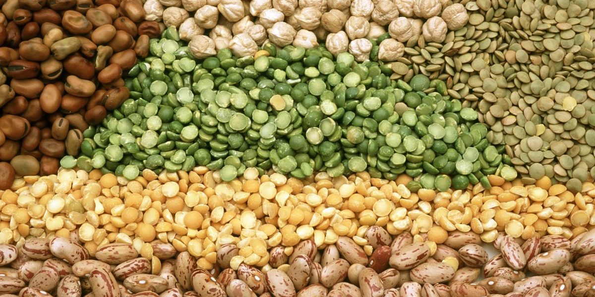 Attractive MSP for 2024-25 Kharif Crops May Not Be Enough to ...