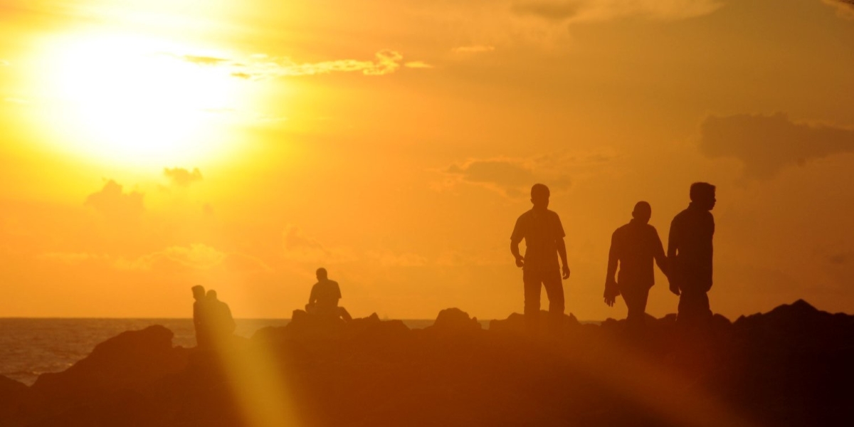 Urgency, Implications and India: A Conversation with J. Srinivasan on ...