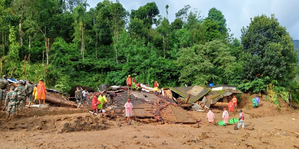 Kerala May Ask Union Aid of Almost Rs 900 Crore For Wayanad Landslide Survivors’ Rehab: Report ...