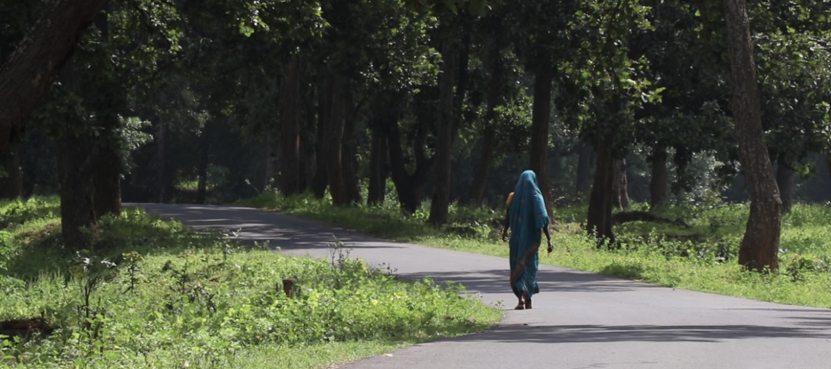 Erased from the Map: The Story of a Village in Hasdeo - The Wire