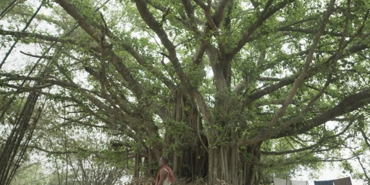 'The Slow Man and His Raft' Is a Film That Breathes New Life to Crises ...