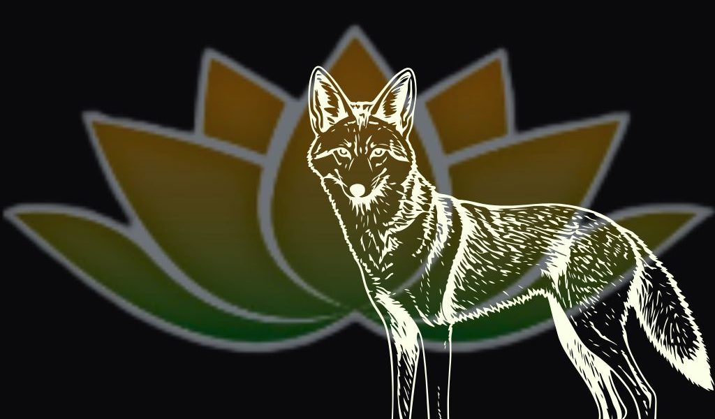 'Vasudhaiva Kutumbakam' and the Way of the Jackal - The Wire