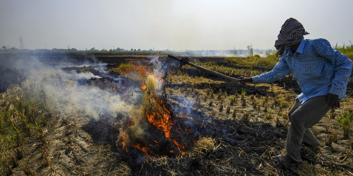 As Winter Approaches, So Does the Stubble Bubble - The Wire