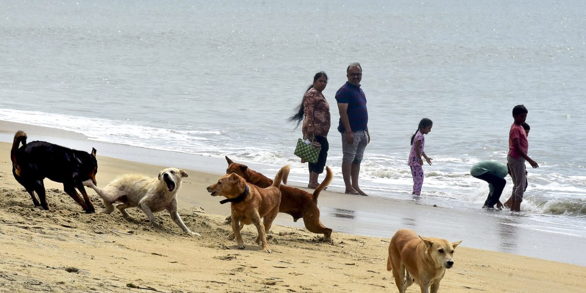 Barking Up the Colonial Tree: How India's Dogs Became the Raj's Lasting ...