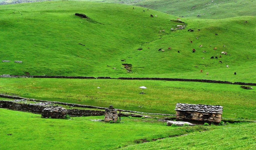 Grazing on the Margins: Why Pastoralists and Rangelands Deserve a Place ...